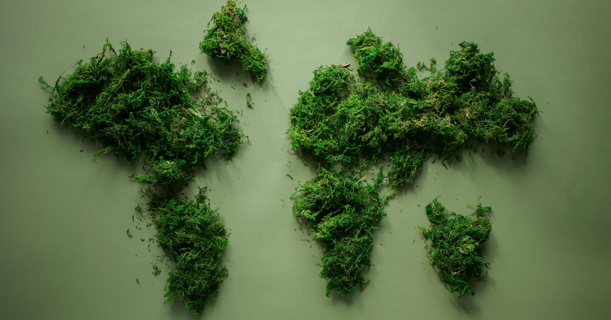 World Environment Day '24: Land Restoration & Sustainability ...