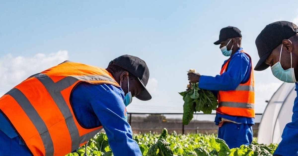 How Ab InBev is making Beer Production More Sustainable ...