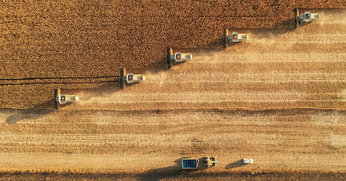 PwC: Mining's Crucial Role in Food Security 'Overlooked' | Mining Digital
