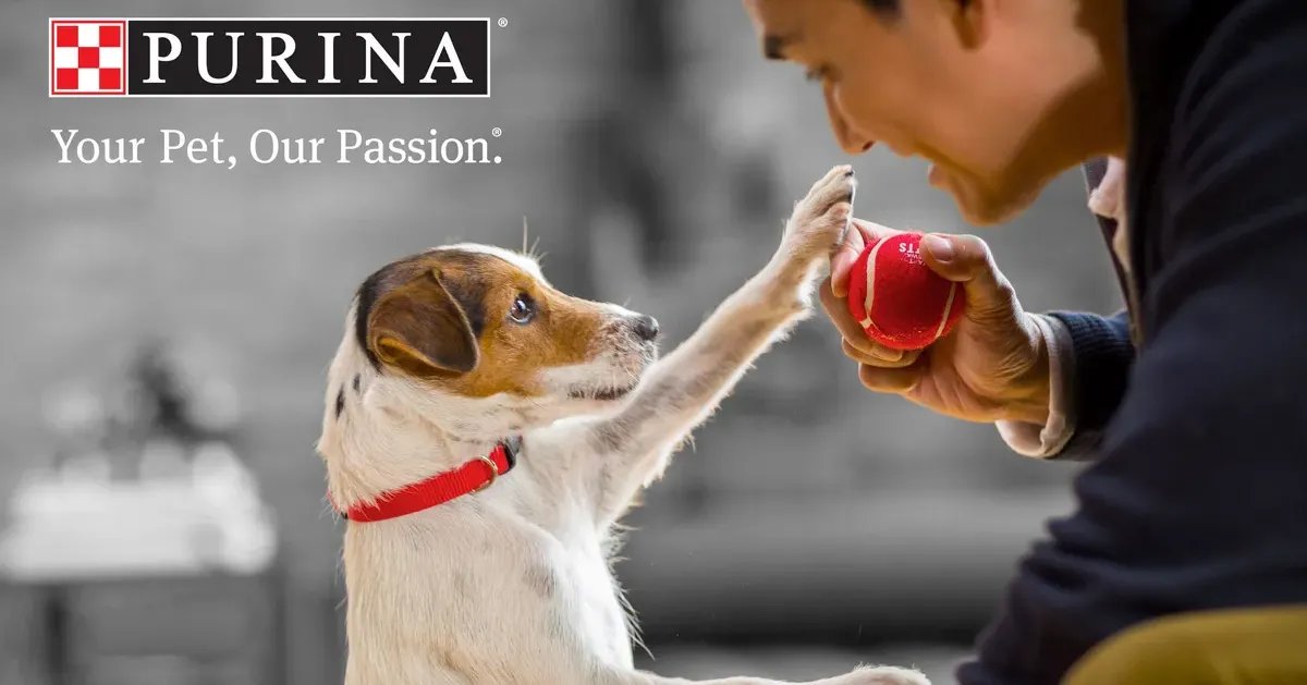 Terravia And Nestl Purina Announce Joint Development Nestlé's Purina