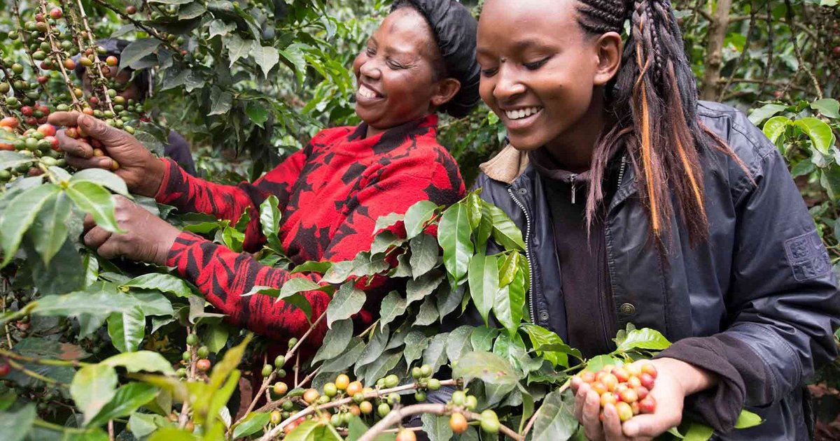 International Coffee Day: Nescafé's Regenerative Farming ...