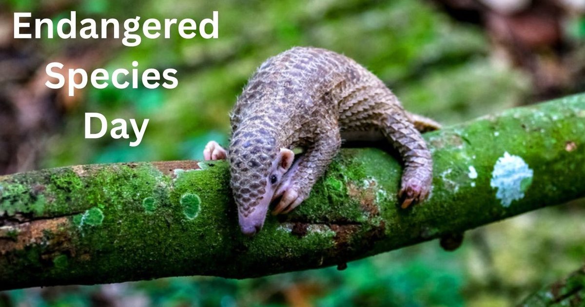 Endangered Species Day 2025: A Celebration to Save Species ...