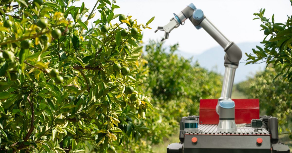 Agribots: The possible future development of food harvesting | Food and ...