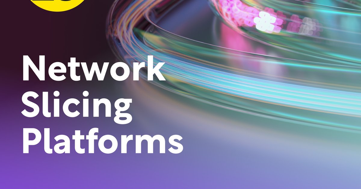 Top 10: Networking Slicing Platforms | Telco Magazine