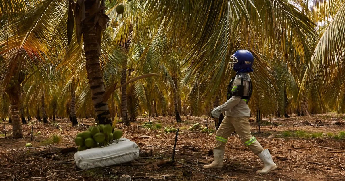 Inside PepsiCo's Bid to Protect Sourcing in the Cerrado | Procurement ...