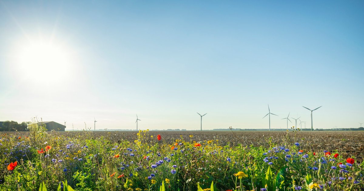 Beko: Manufacturing Climate Milestones with SBTi | Scope 3 Magazine