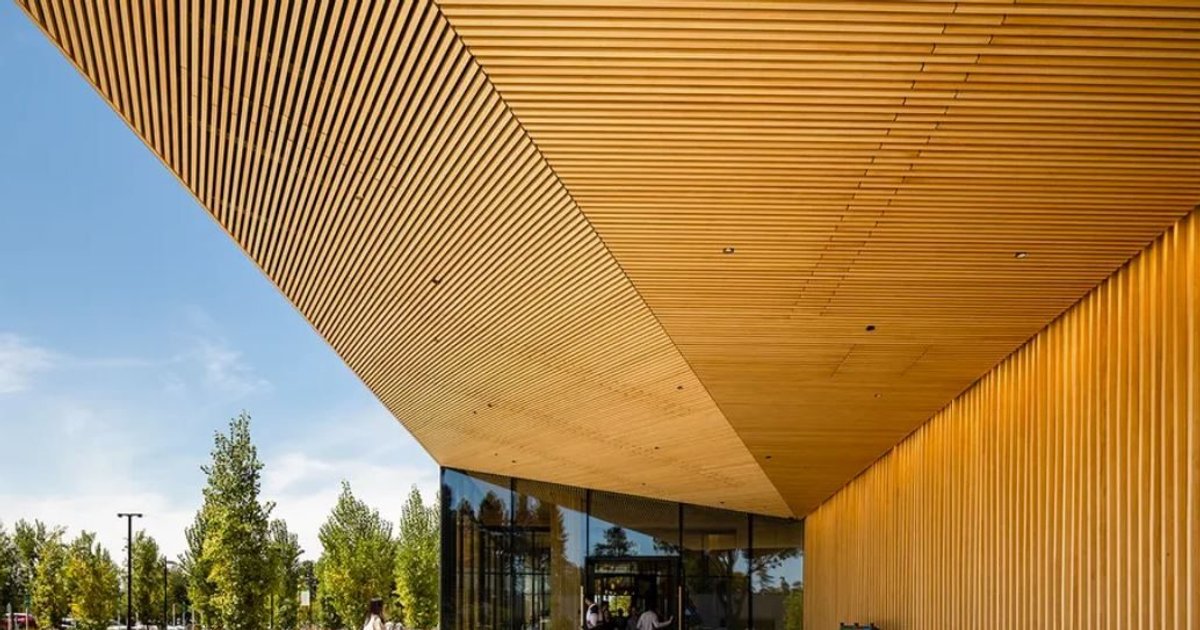 Inside Google’s New Sustainable Mass Timber Office Space ...