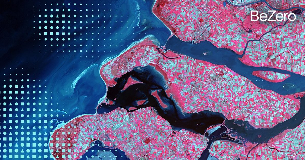 Behind BeZero: The Carbon Ratings Agency of the Moment | Sustainability ...