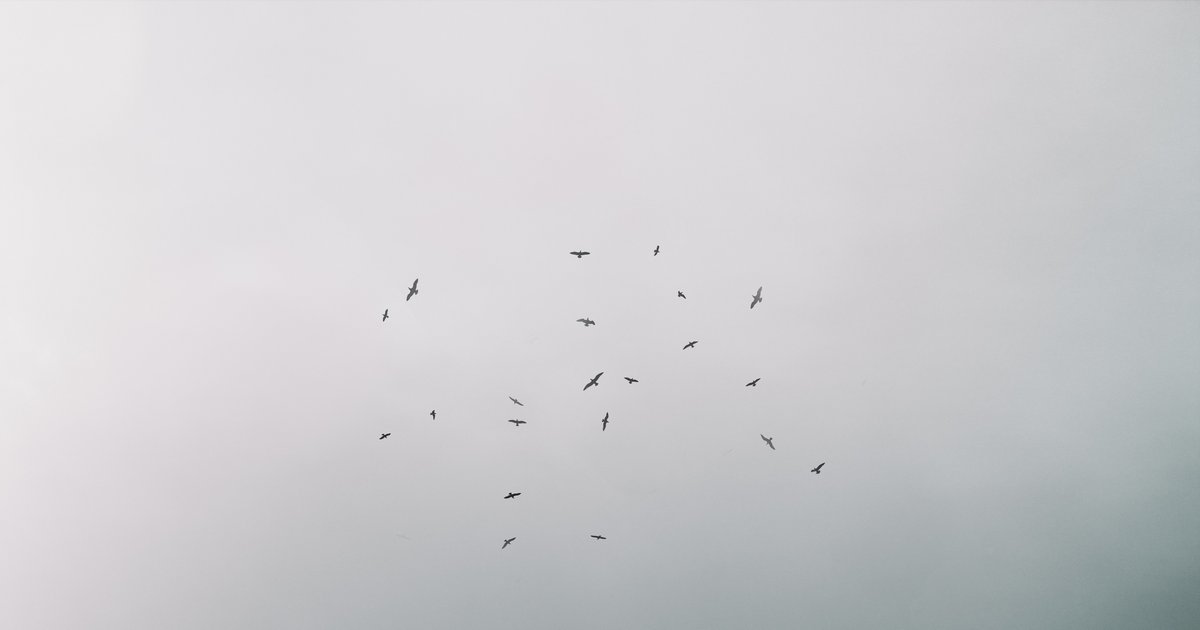 Qinshift: Supporting clients in transformation journeys | Technology ...