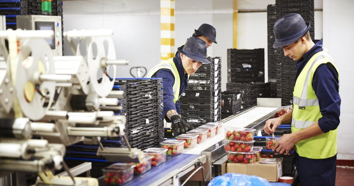 Top 10: Sustainable Food Manufacturers | Sustainability Magazine
