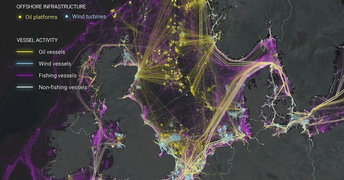 How Google’s Data-Driven AI Could Redefine Conservation | Technology Magazine