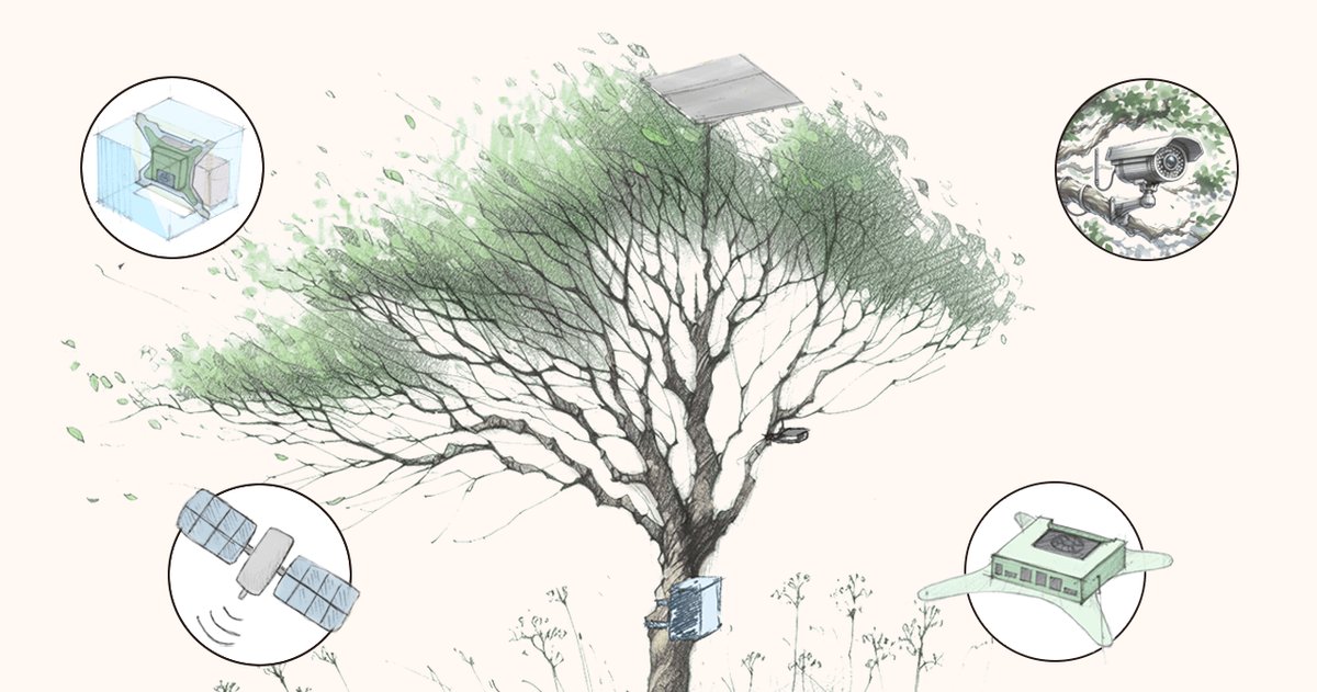 Microsoft's SPARROW: Tracking & Mitigating Biodiversity Loss ...