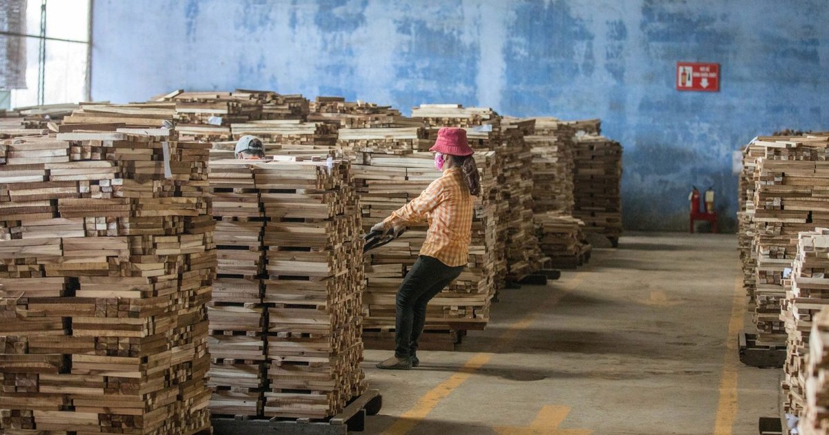 IKEA: 'Stronger Leadership' Needed for Future of Forestry ...