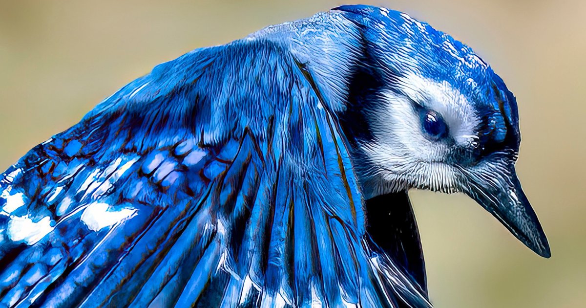 Bluejay: The Startup Behind the AI Agent Testing Revolution | AI Magazine