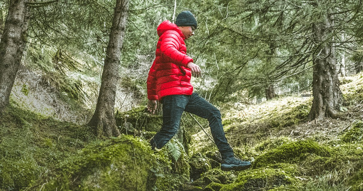 BDO Integrates Sustainability into Procurement | Procurement Magazine