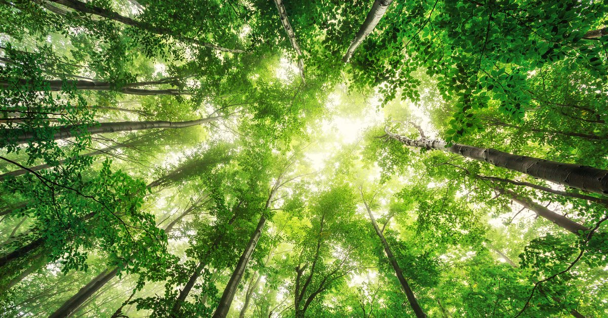 A commitment to ESG: CyrusOne & the sustainable data centre | Data Centre Magazine