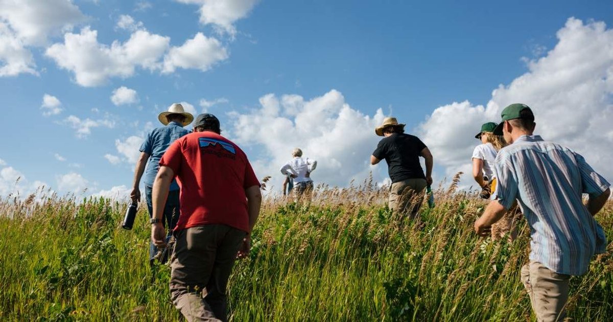 How Whole Foods Market Is Boosting Regenerative Farming ...