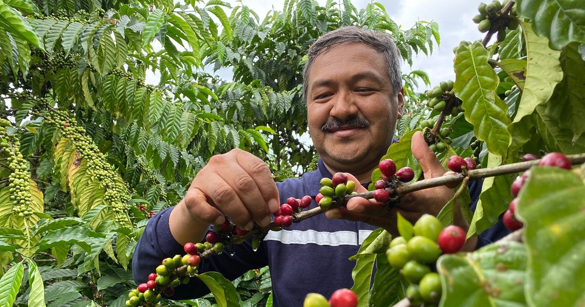 Nestle : Procurement Strategy Powers Sustainability Progress ...