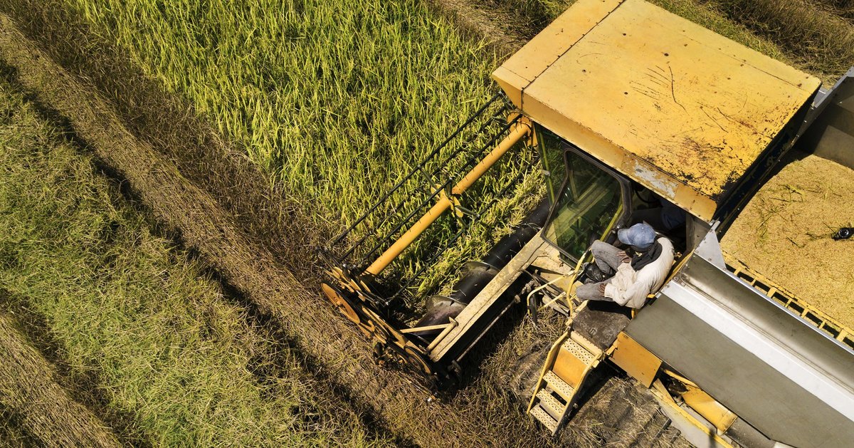 Bayer: Modernising its End-to-End Global Logistics Operation | Supply ...