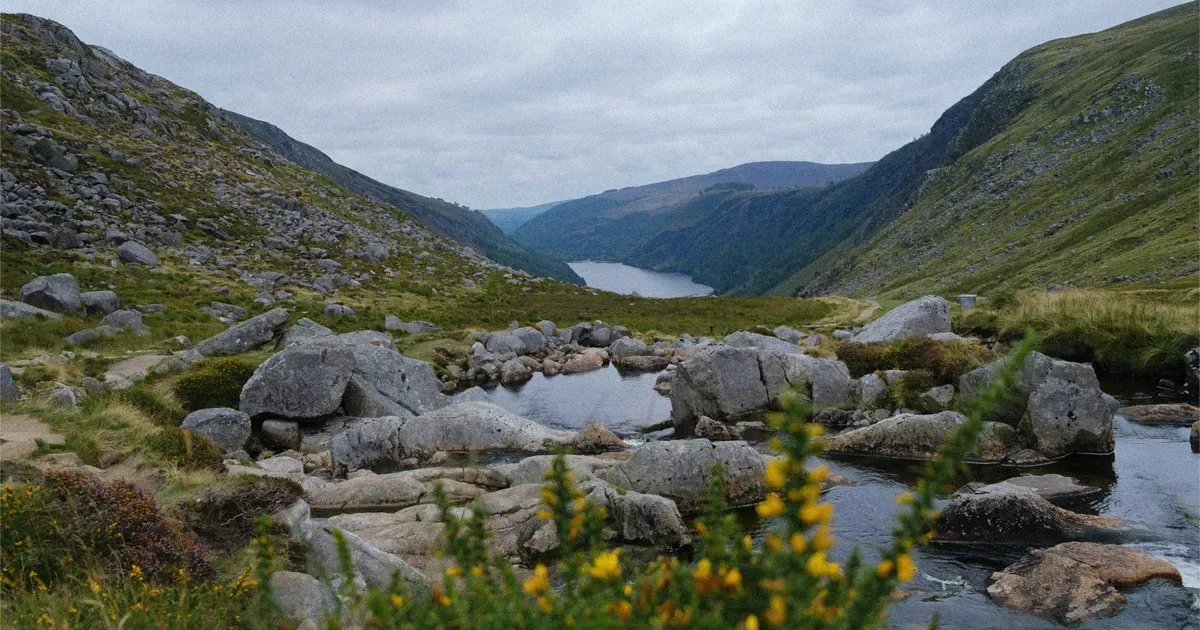 What is Google’s Progress on its Water Stewardship Projects ...