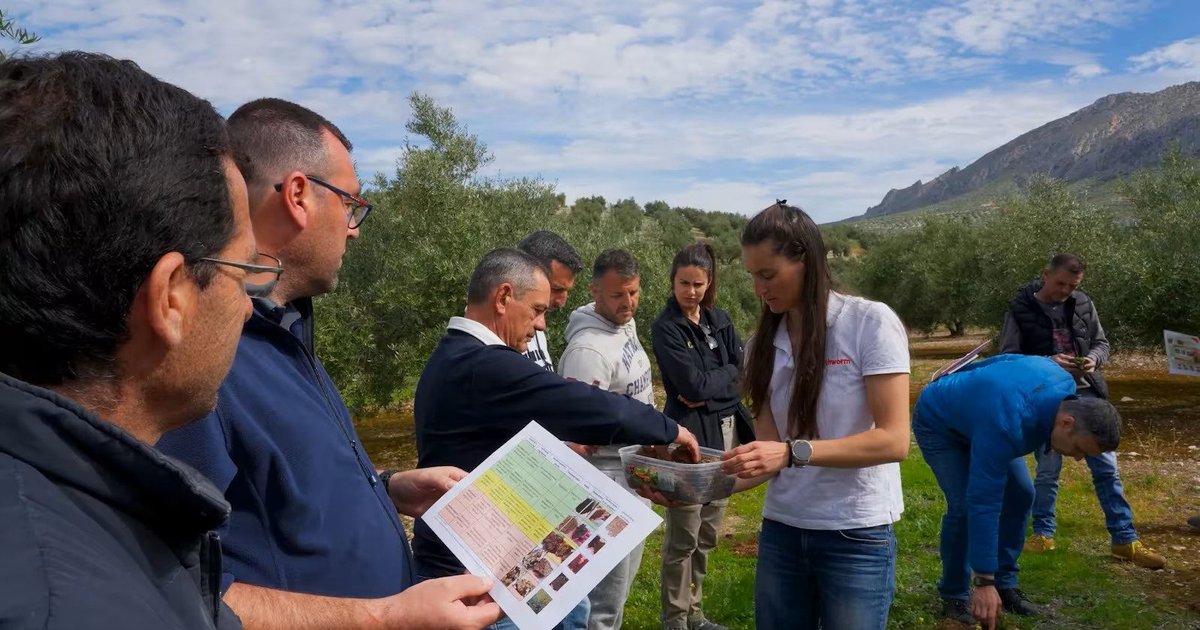 The PepsiCo Foundation: Regenerative Olive Farming in Spain ...
