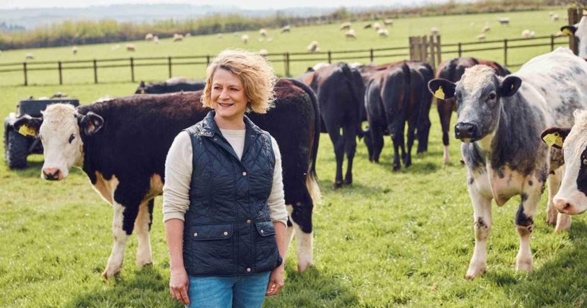 Why is Lidl GB Sticking to a 100% British Sourcing Strategy? | Procurement Magazine