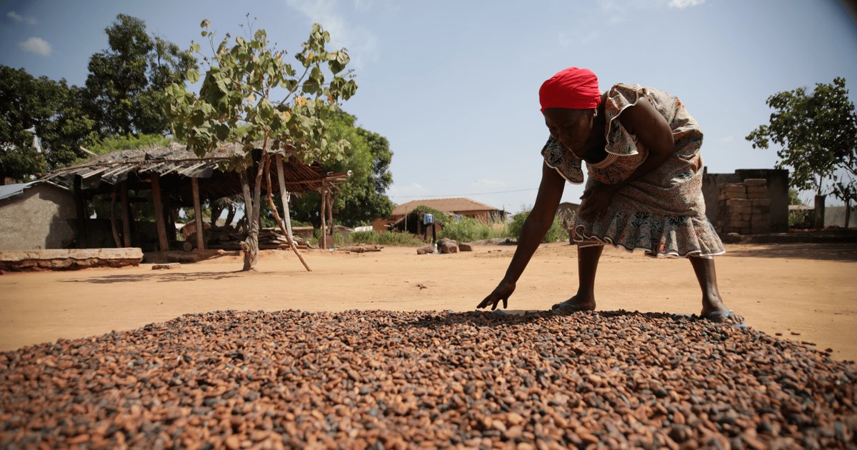 Mars' Supply Chain Strategy Cuts Emissions and Boosts Growth | Supply ...