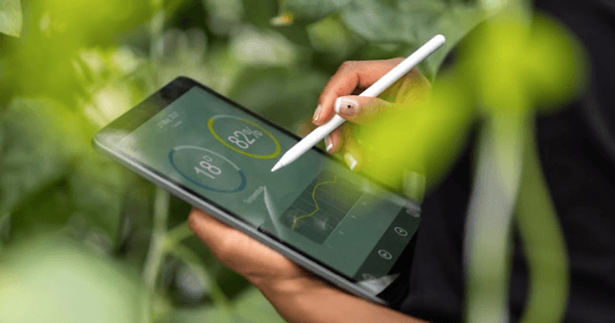 Capgemini: People critical to shift energy transition dial | Energy ...