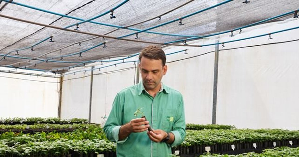 What is Apple Doing for Atlantic Forest Sustainability ...