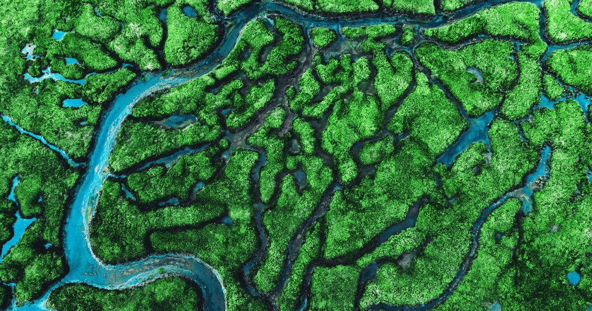 What are Nokia’s SBTi-Approved Net Zero Targets for 2040 ...