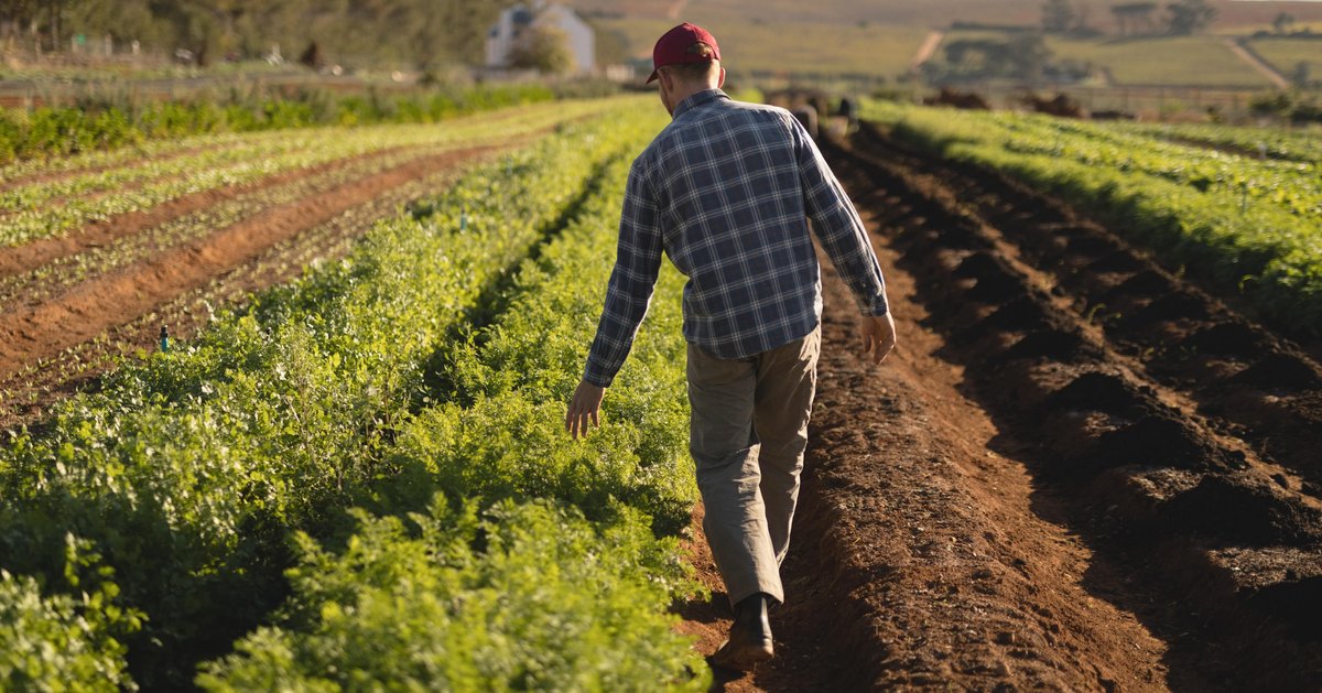 Mars: Harnessing Procurement to Accelerate Sustainability | Procurement ...