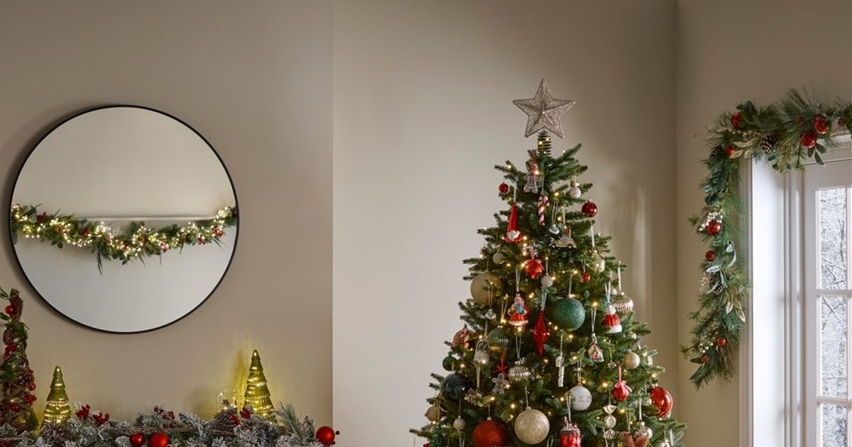 Creating a 'Greener' Approach to Christmas Tree Production ...