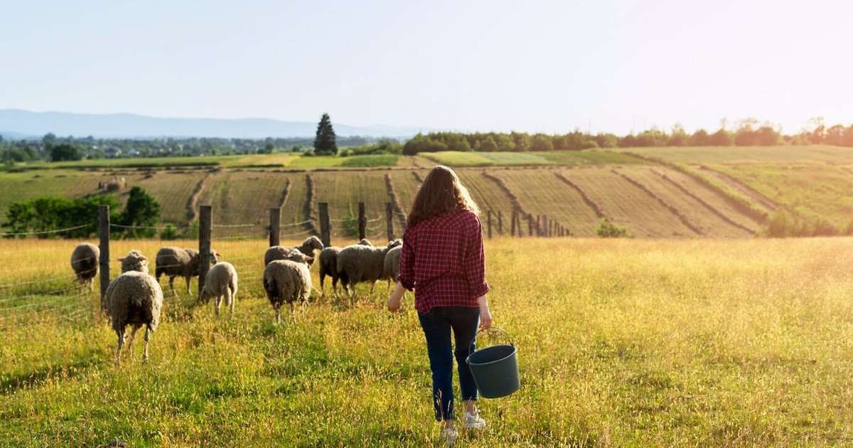 Agreena’s Soil Carbon Programme Secures DNV Approval Again | Scope 3 ...