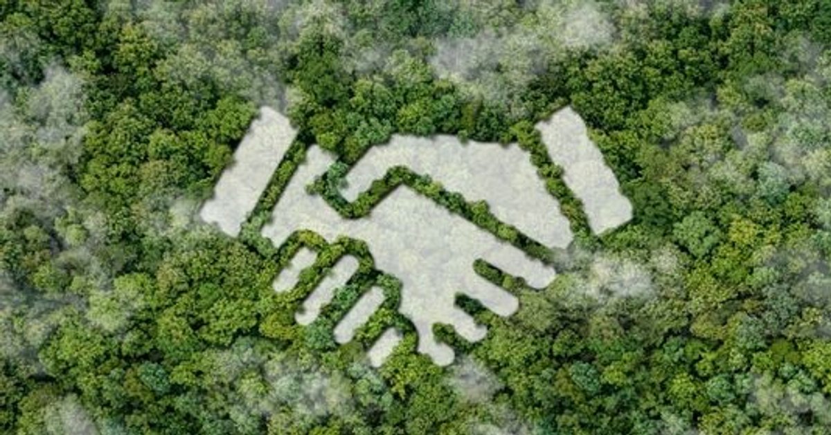 Why sustainability and economic viability go hand in hand | Business ...