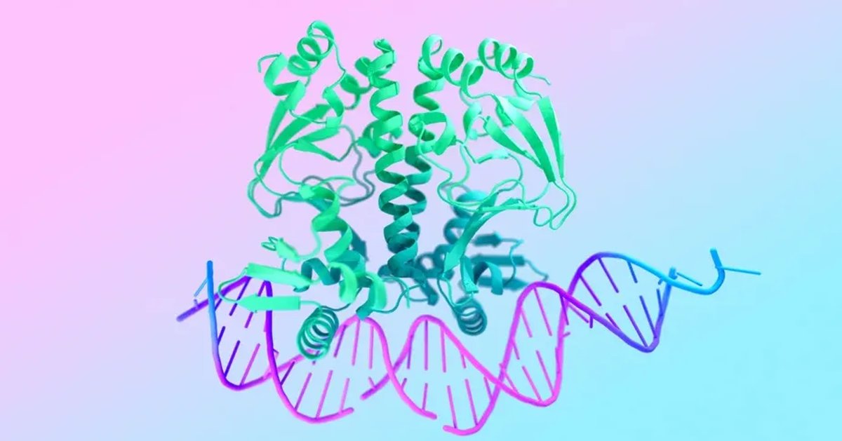 Google DeepMind's AlphaFold 3 'is Drug Discovery Boost' | Healthcare ...