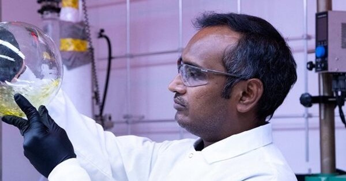 How Abzena's Microbiology Labs Boost Biologic Development ...