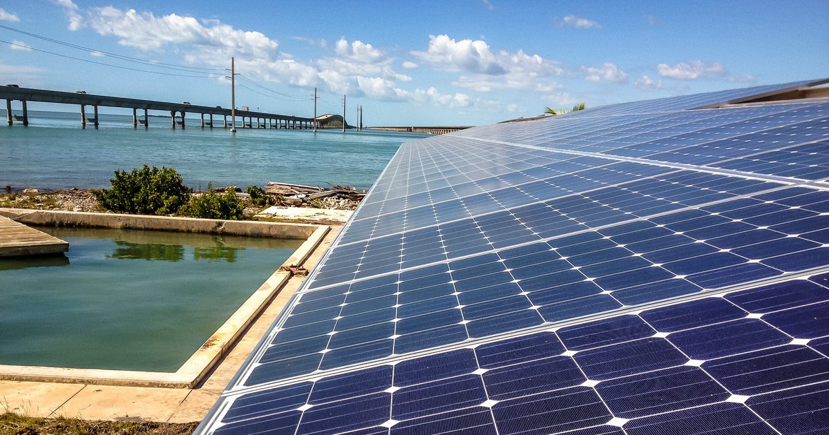 What is Schneider Electric’s Energize Programme? | Procurement Magazine