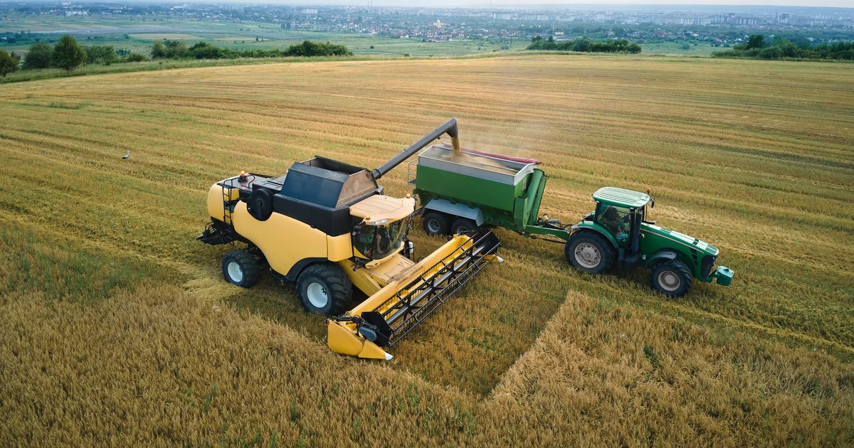 Mars and FAO Food Safety Partnership Targets Mycotoxins | Food and ...