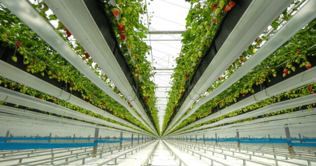 Lyninii tits made the travel to see her after the first