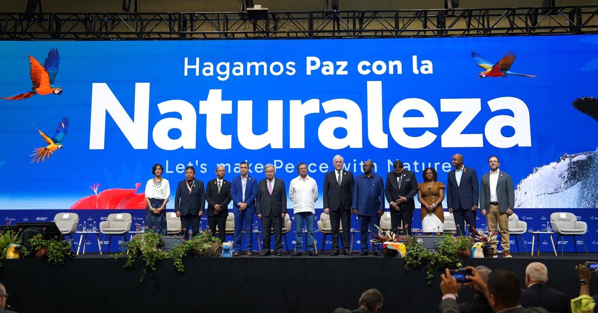 What Biodiversity Developments Happened at COP16? | Sustainability Magazine