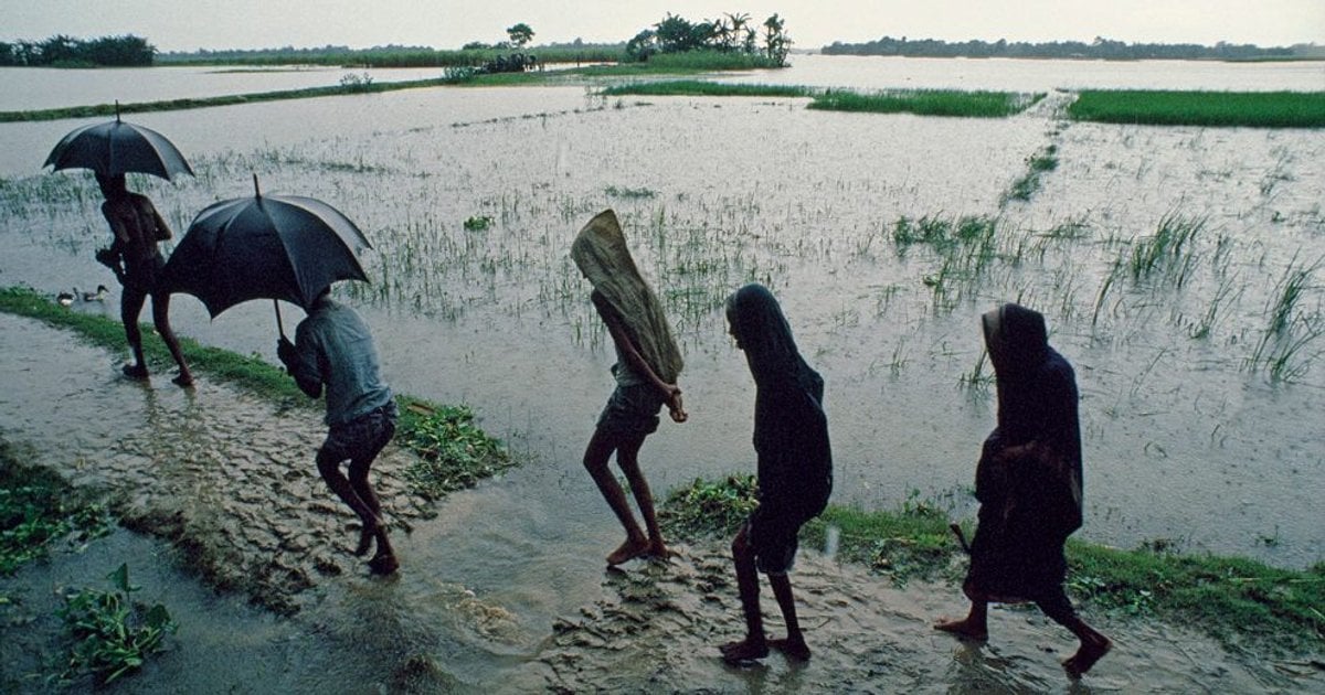 Google: Alleviating Climate Change Impacts With Physics & AI ...