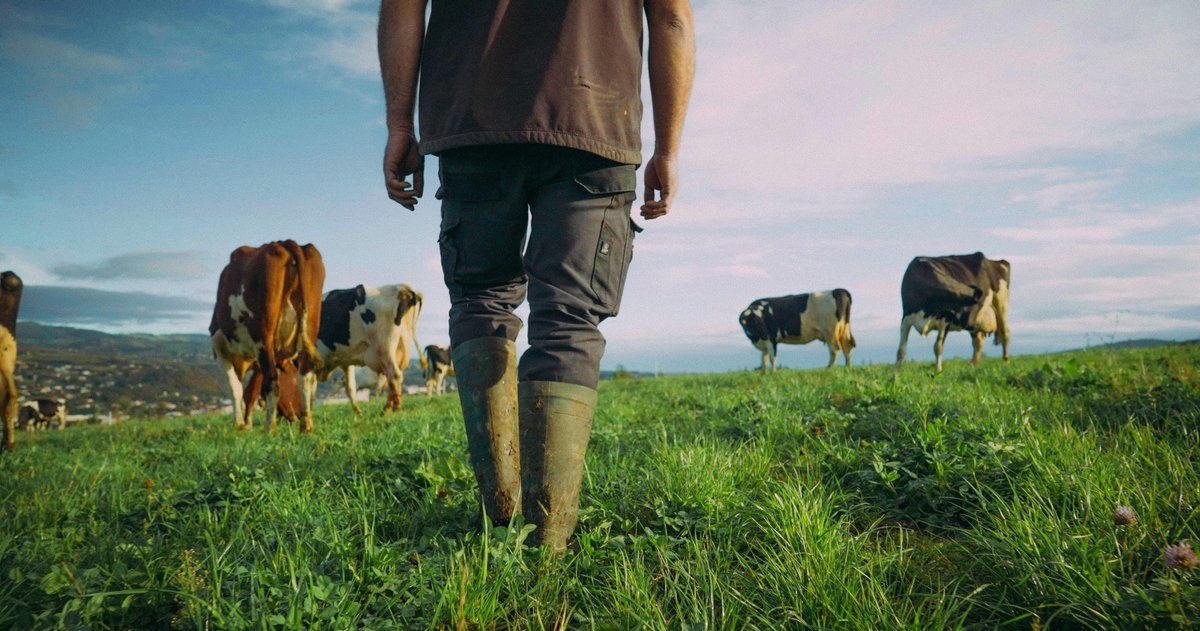 Danone: Tackling Dairy Methane with Sustainable Procurement ...