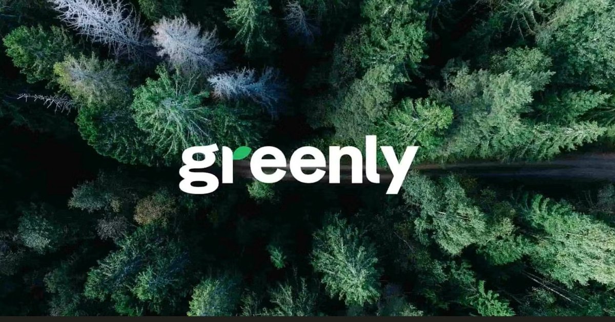 How Greenly Achieved its B Corp Recertification | Sustainability Magazine