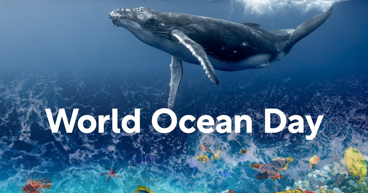 World Ocean Day 2026: Strengthening Marine Protected Areas ...
