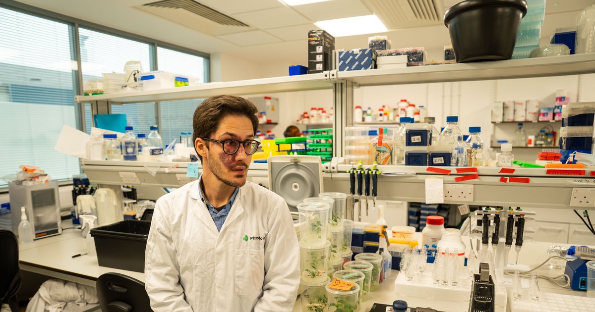 Phytoform & AWS: Harnessing AI for Sustainable Agriculture | Sustainability Magazine