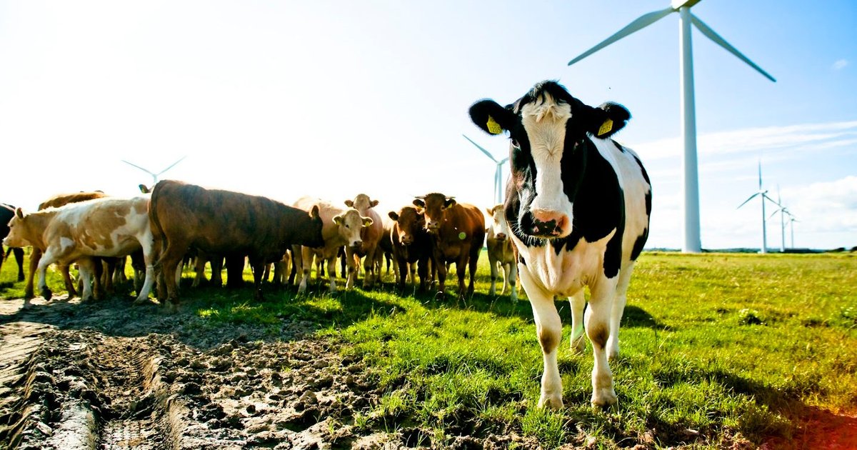 Indigo Ag & Truterra: Driving Agricultural Sustainability | Scope 3 ...