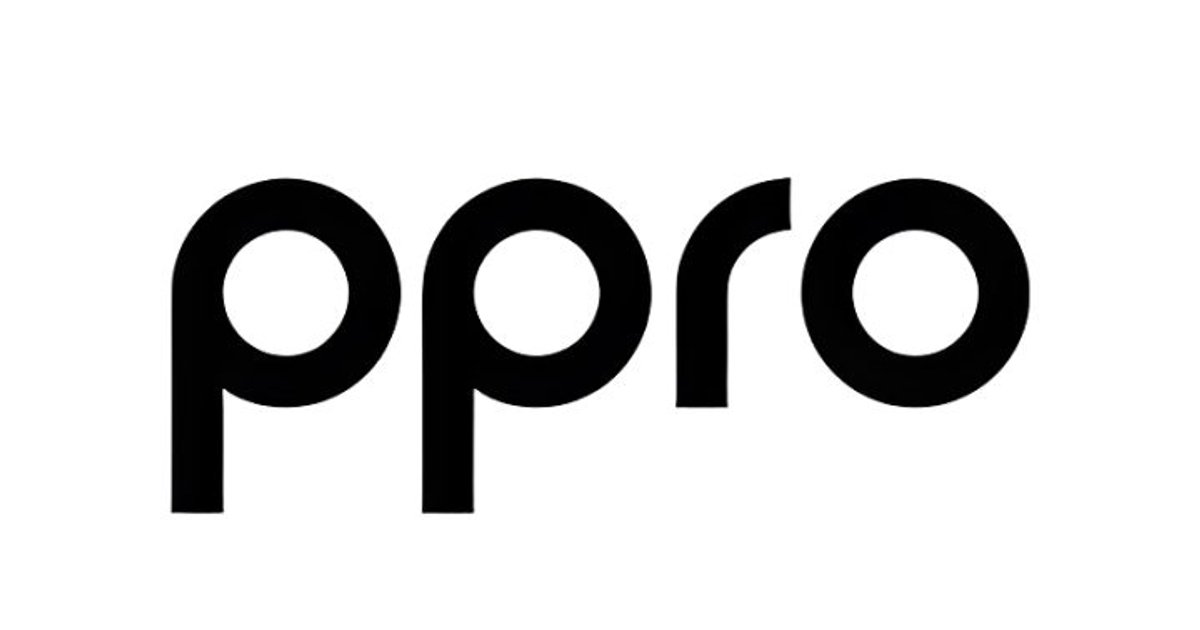 PPRO Targets European BNPL Market with New Platform | FinTech Magazine