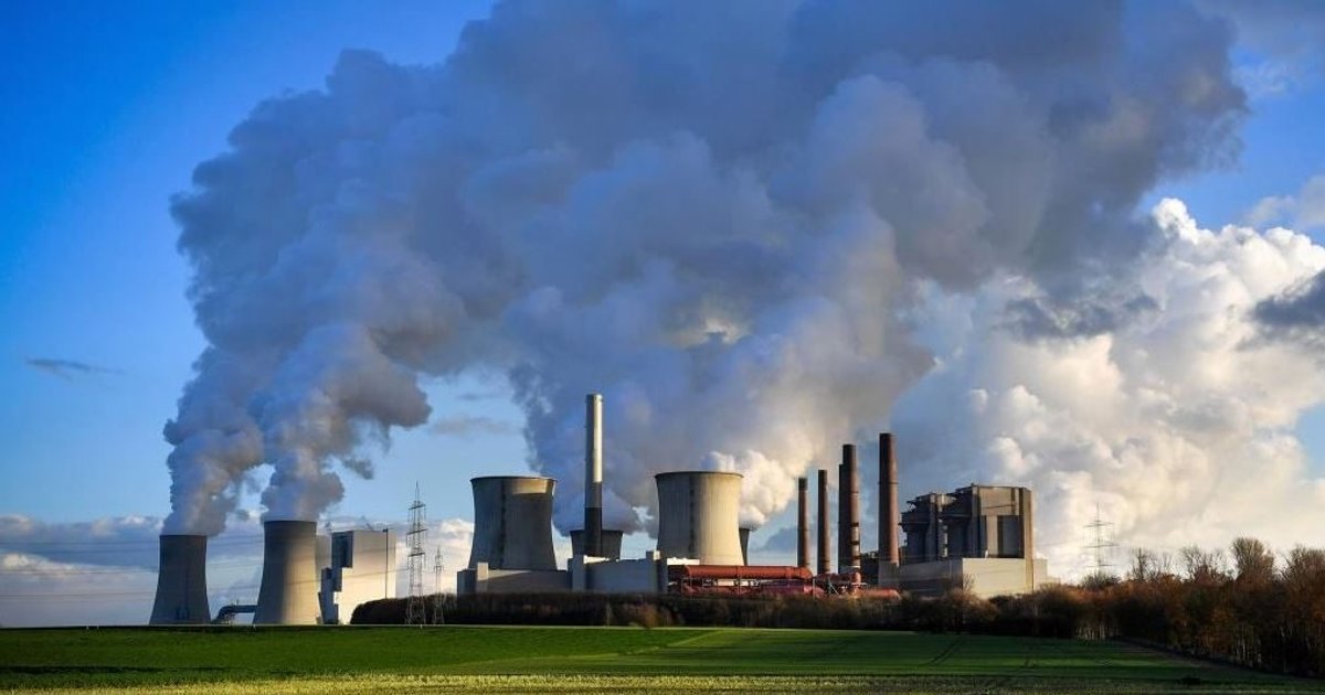 Why is the SBTi advocating the Carbon Offsets Market? | Sustainability ...