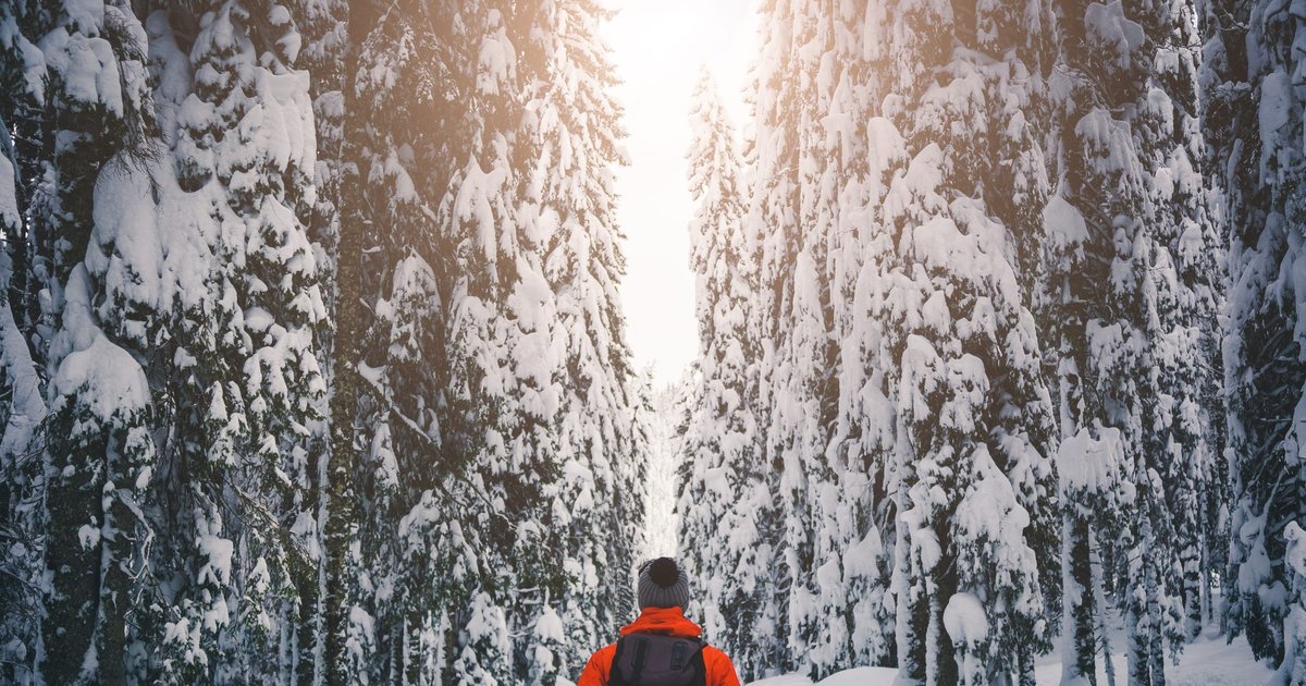 UpCloud Offers Fastest Cloud Servers with Zero-Cost Egress | Data ...