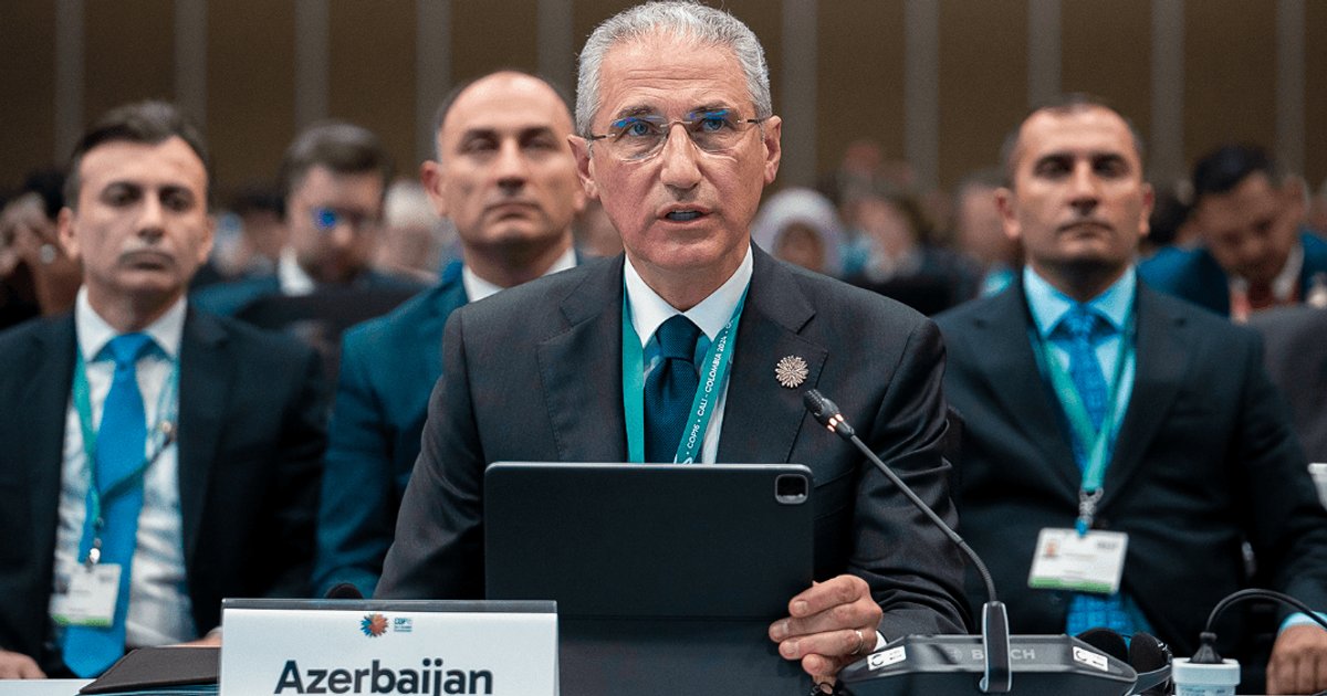 COP29 Expectations: ‘Strong Policy, Decisions & Bravery ...